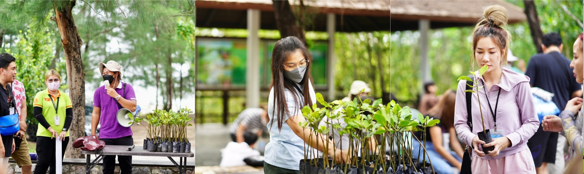 YN2-TECH マングローブ植林活動 (CSR)｜ ニュース ｜YN2-TECH (THAILAND) CO., LTD.